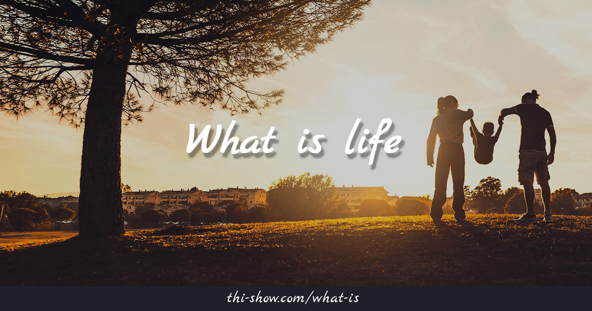 What is life - THI Show